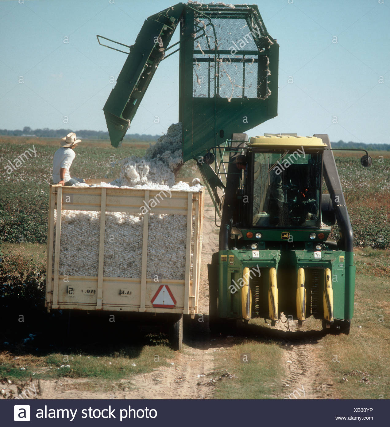 Cotton Picker Stock Photos & Cotton Picker Stock Images - Alamy