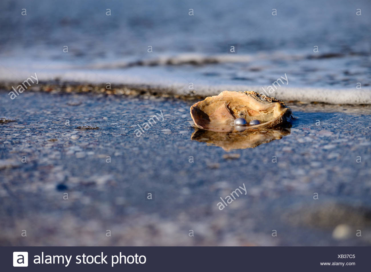 Australian Pearls High Resolution Stock Photography and Images - Alamy