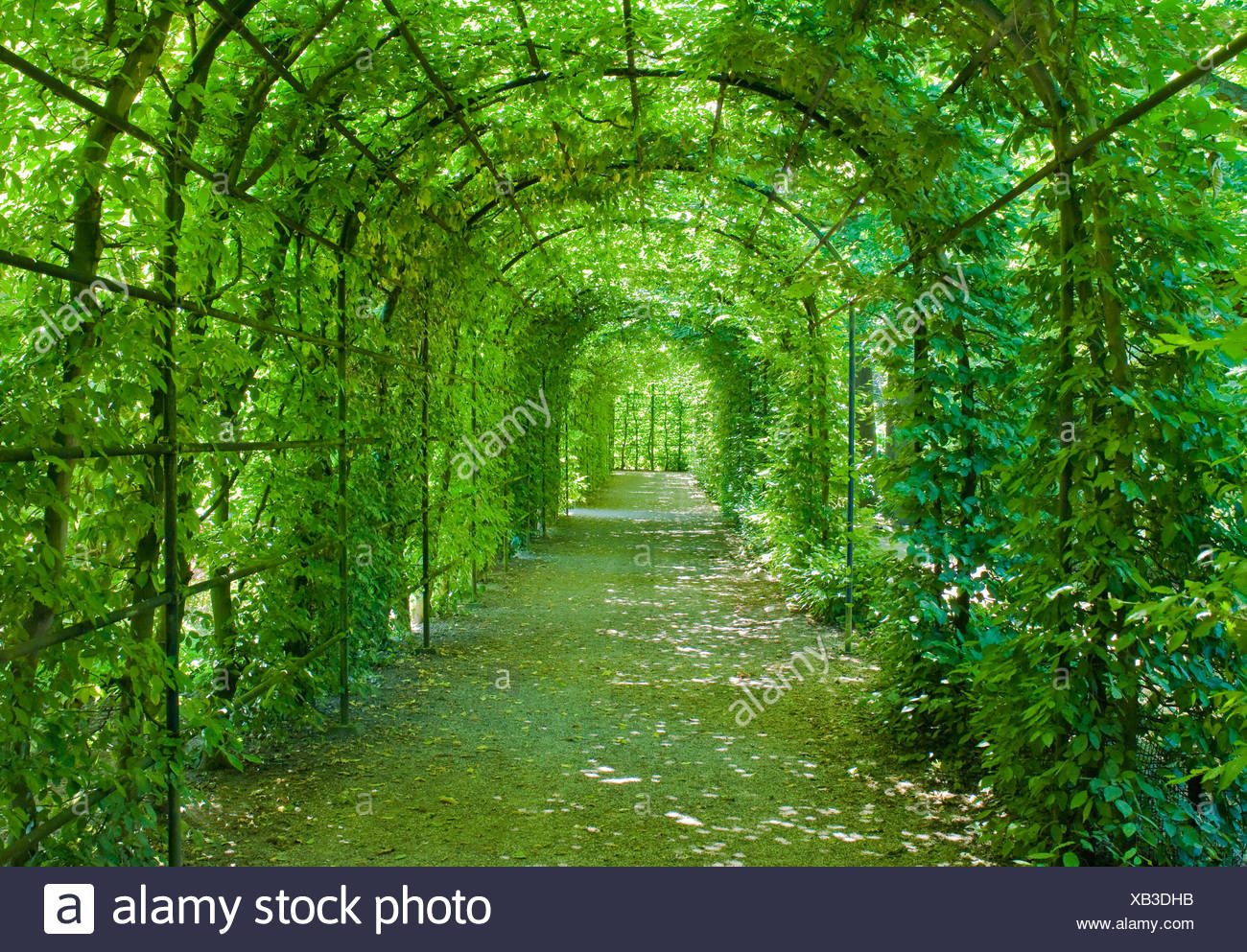 Plants Corridor Stock Photos & Plants Corridor Stock Images - Alamy