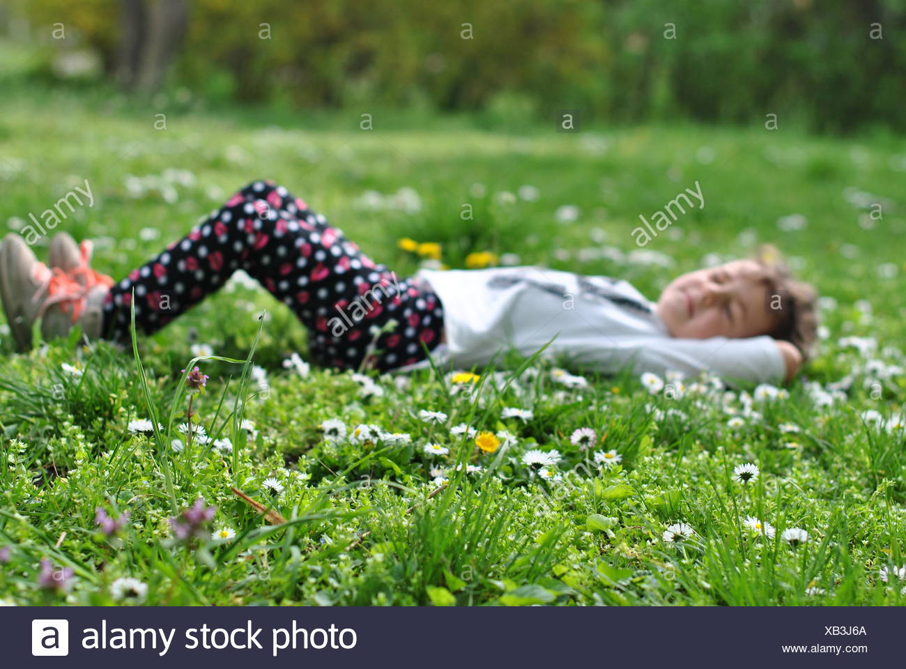 Napping Grass Stock Photos & Napping Grass Stock Images - Alamy