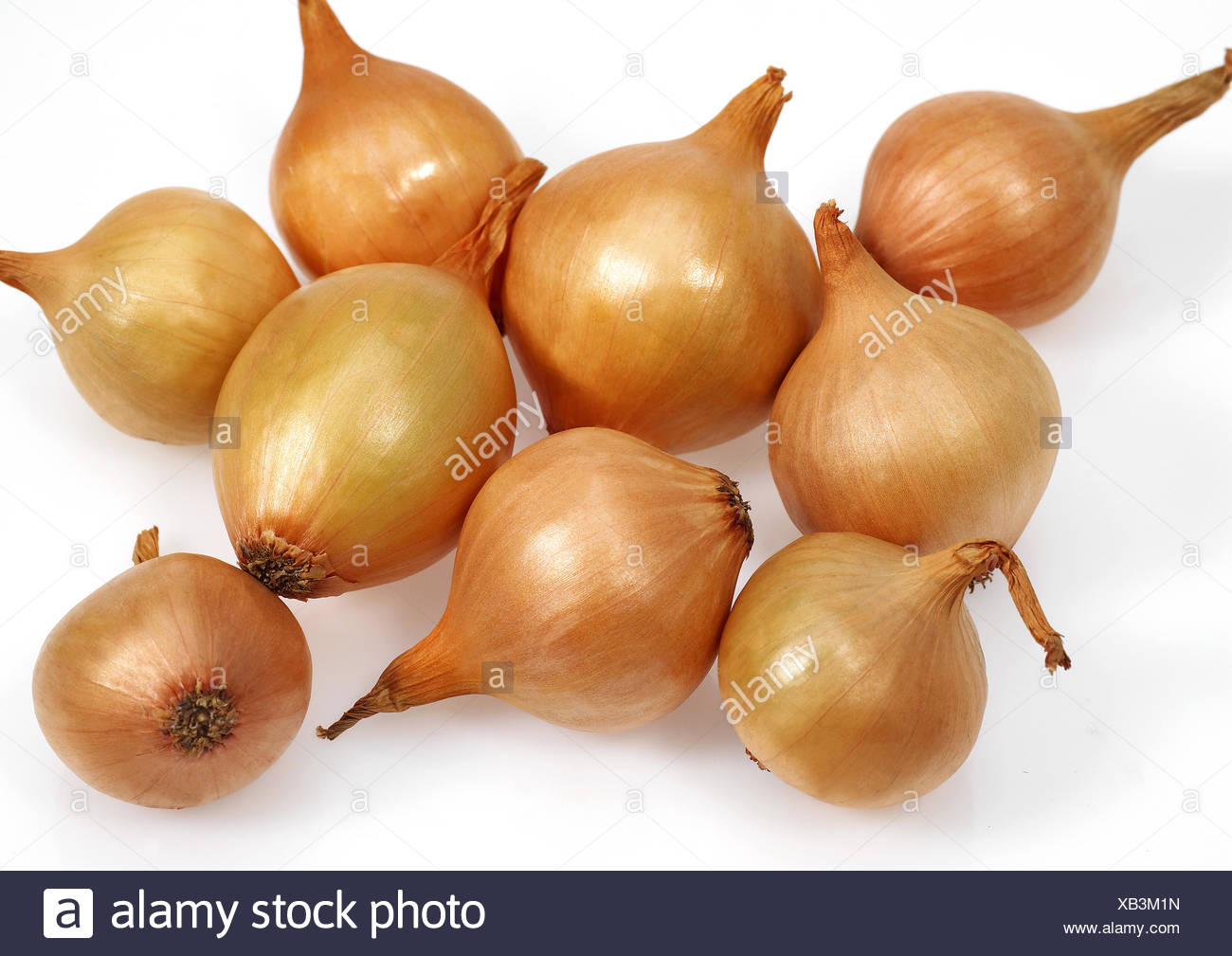 Grelot Onion High Resolution Stock Photography and Images - Alamy