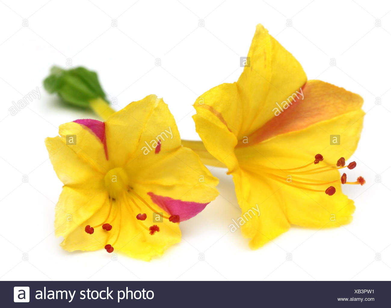 Maloti Stock Photos & Maloti Stock Images - Alamy