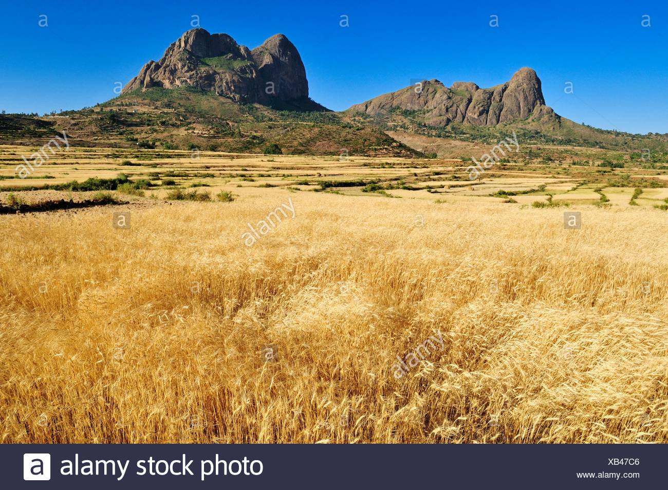 Adwa Mountains High Resolution Stock Photography and Images - Alamy