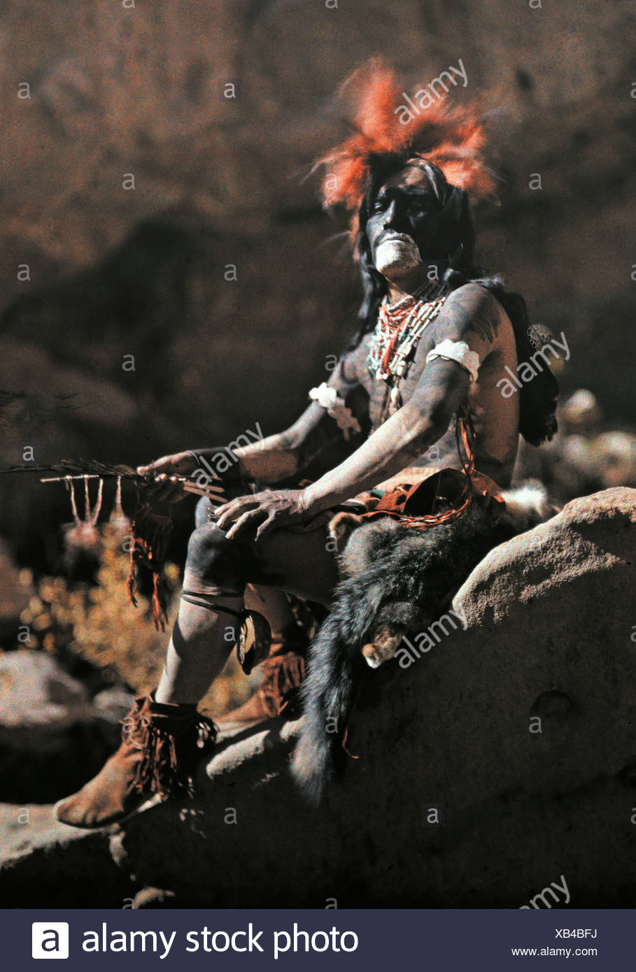 Snake Stick Stock Photos & Snake Stick Stock Images - Alamy