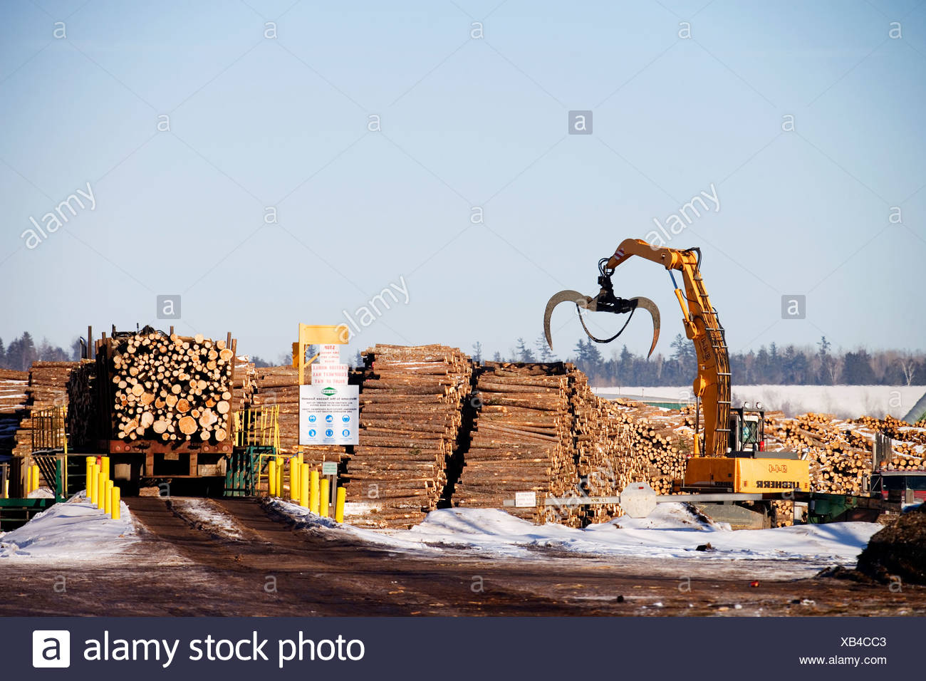 Pulp Wood Being Unloaded High Resolution Stock Photography and Images ...