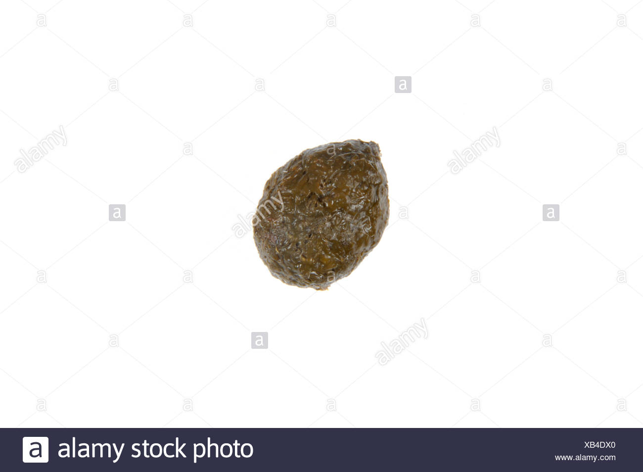 Rabbit Droppings High Resolution Stock Photography and Images - Alamy