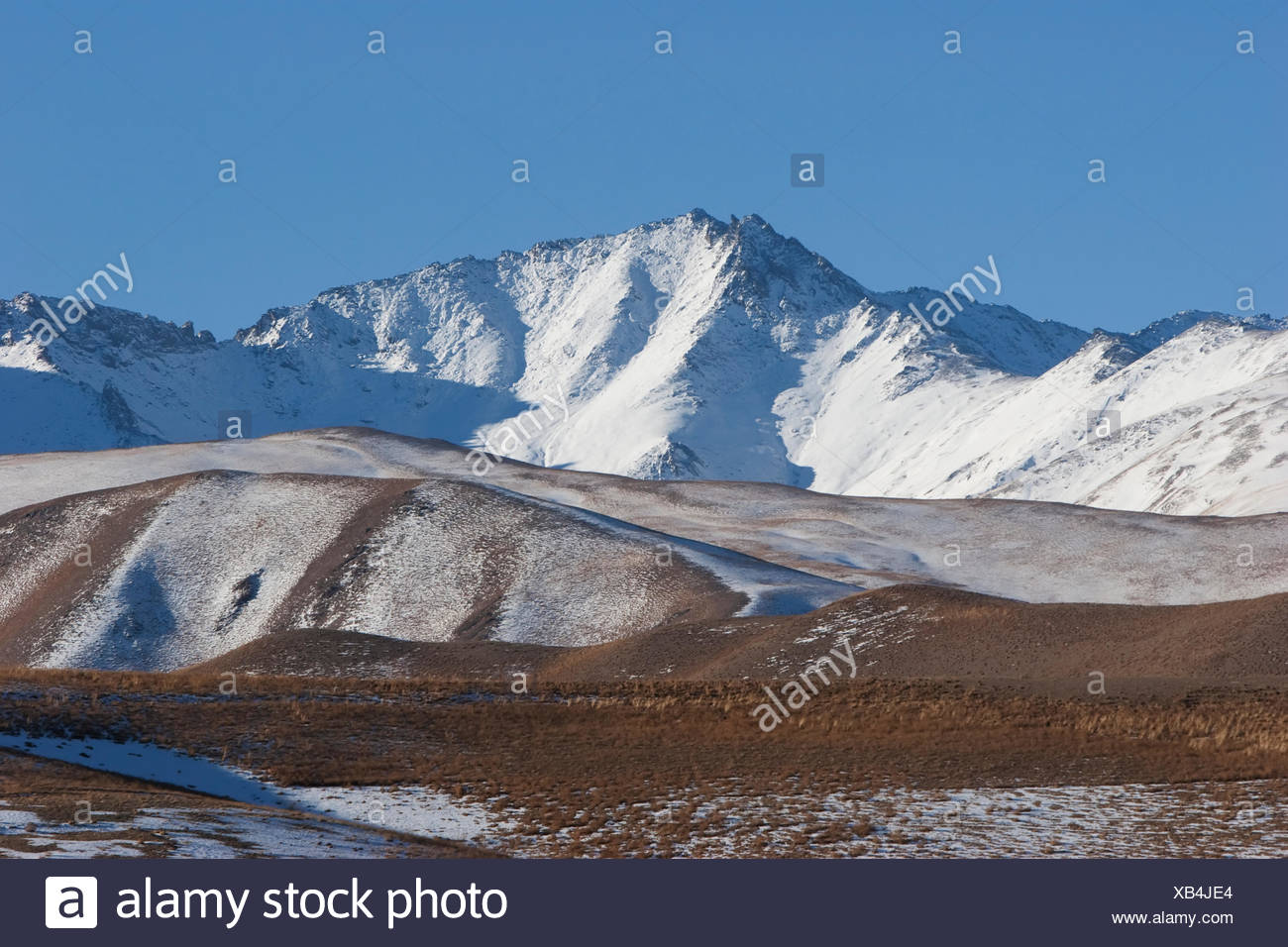 Shibar High Resolution Stock Photography and Images - Alamy