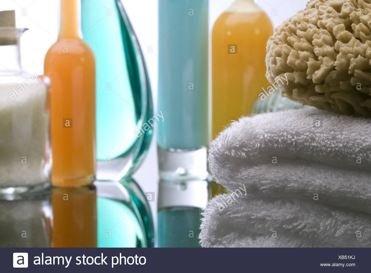 Bath Fungus High Resolution Stock Photography and Images - Alamy