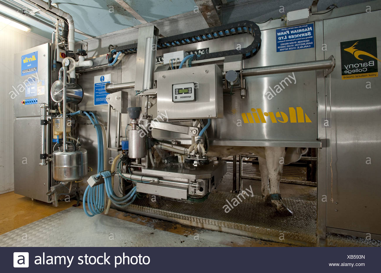 Automatic Milking Parlour Stock Photos & Automatic Milking Parlour ...