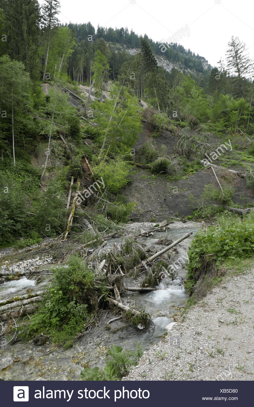 Mudflow High Resolution Stock Photography and Images - Alamy