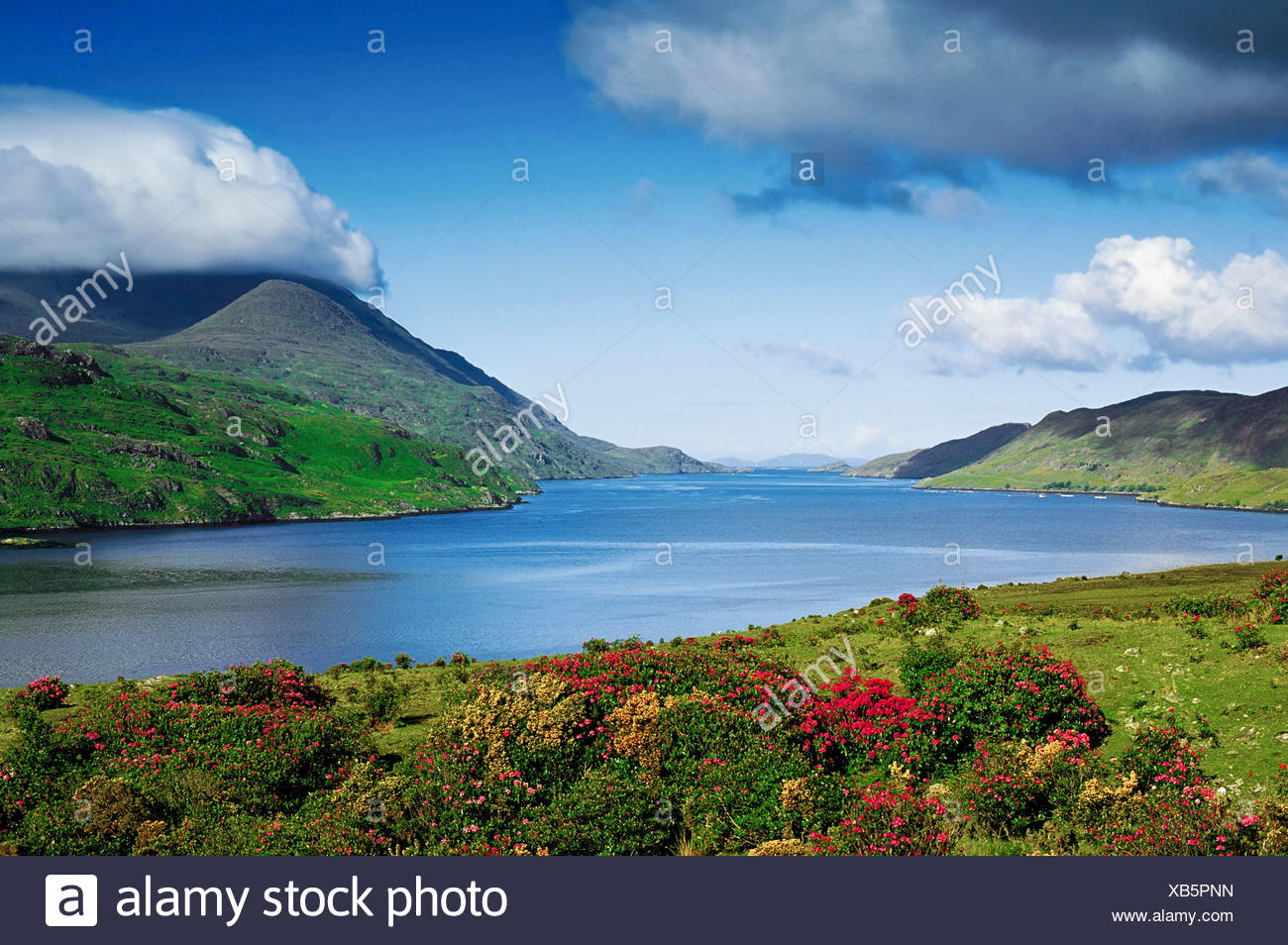 Killary Harbour Irelands Only Fjord High Resolution Stock Photography ...