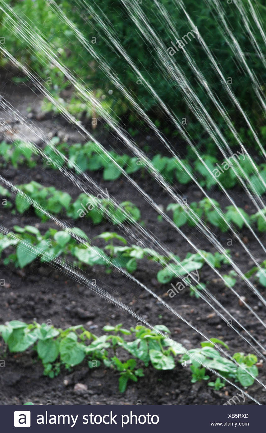 Water Spray Stock Photos & Water Spray Stock Images - Alamy