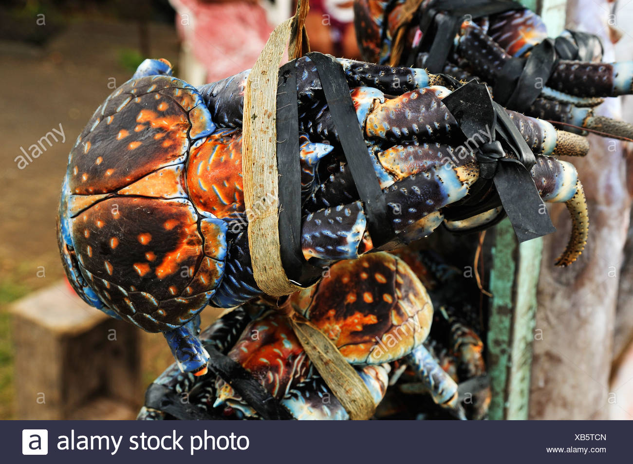 Tied Islands High Resolution Stock Photography and Images - Alamy