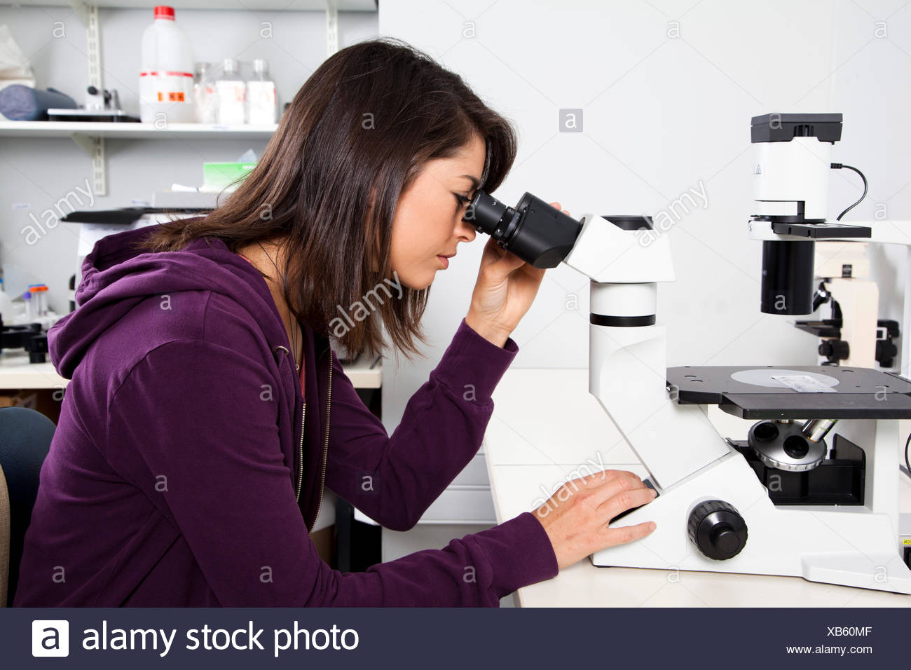 Looking Through A Microscope High Resolution Stock Photography and ...