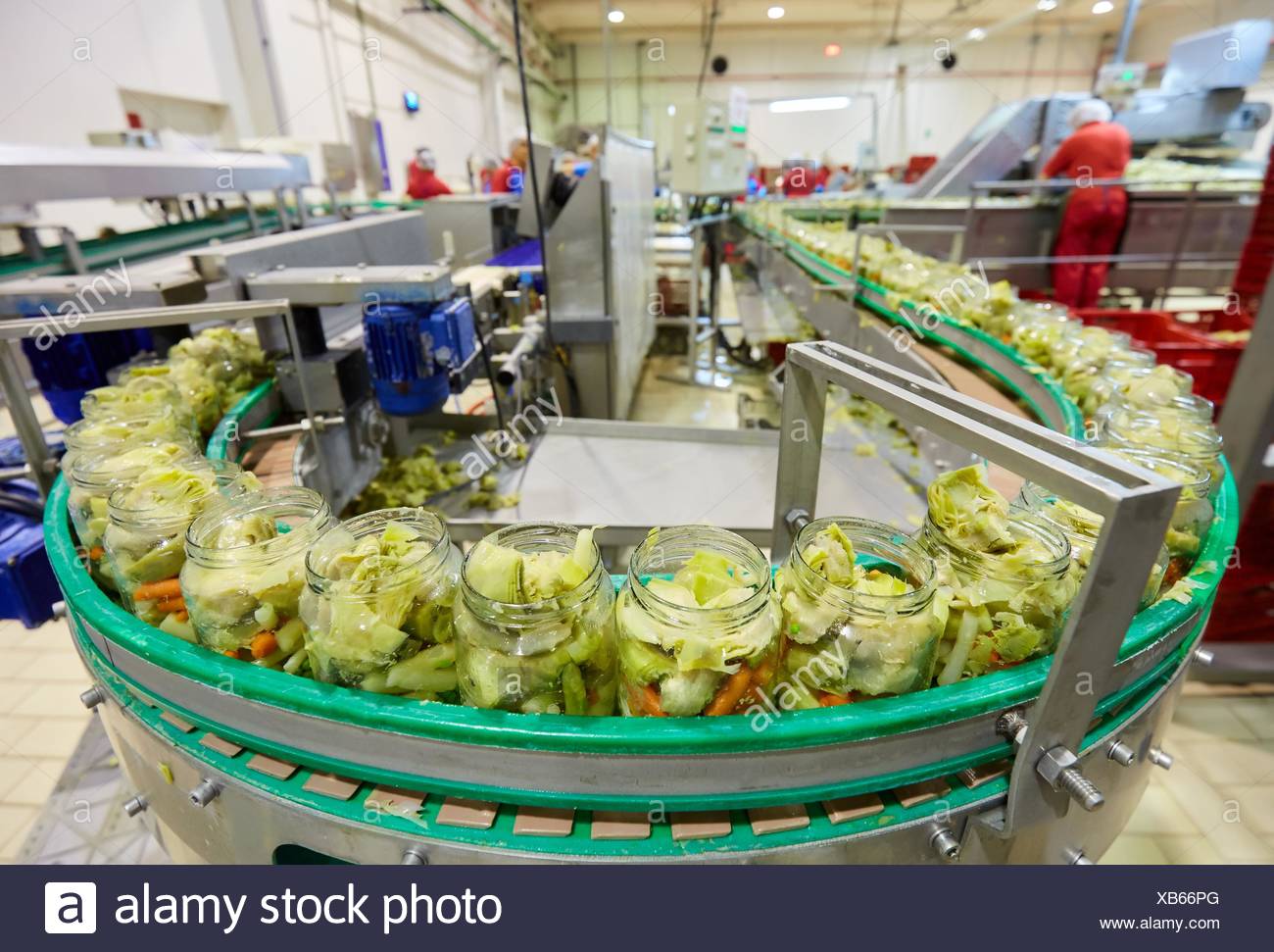Food Production Line Vegetables High Resolution Stock Photography and ...