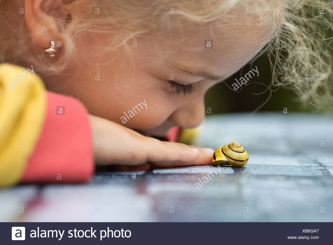 Children Looking At Snails High Resolution Stock Photography and Images ...