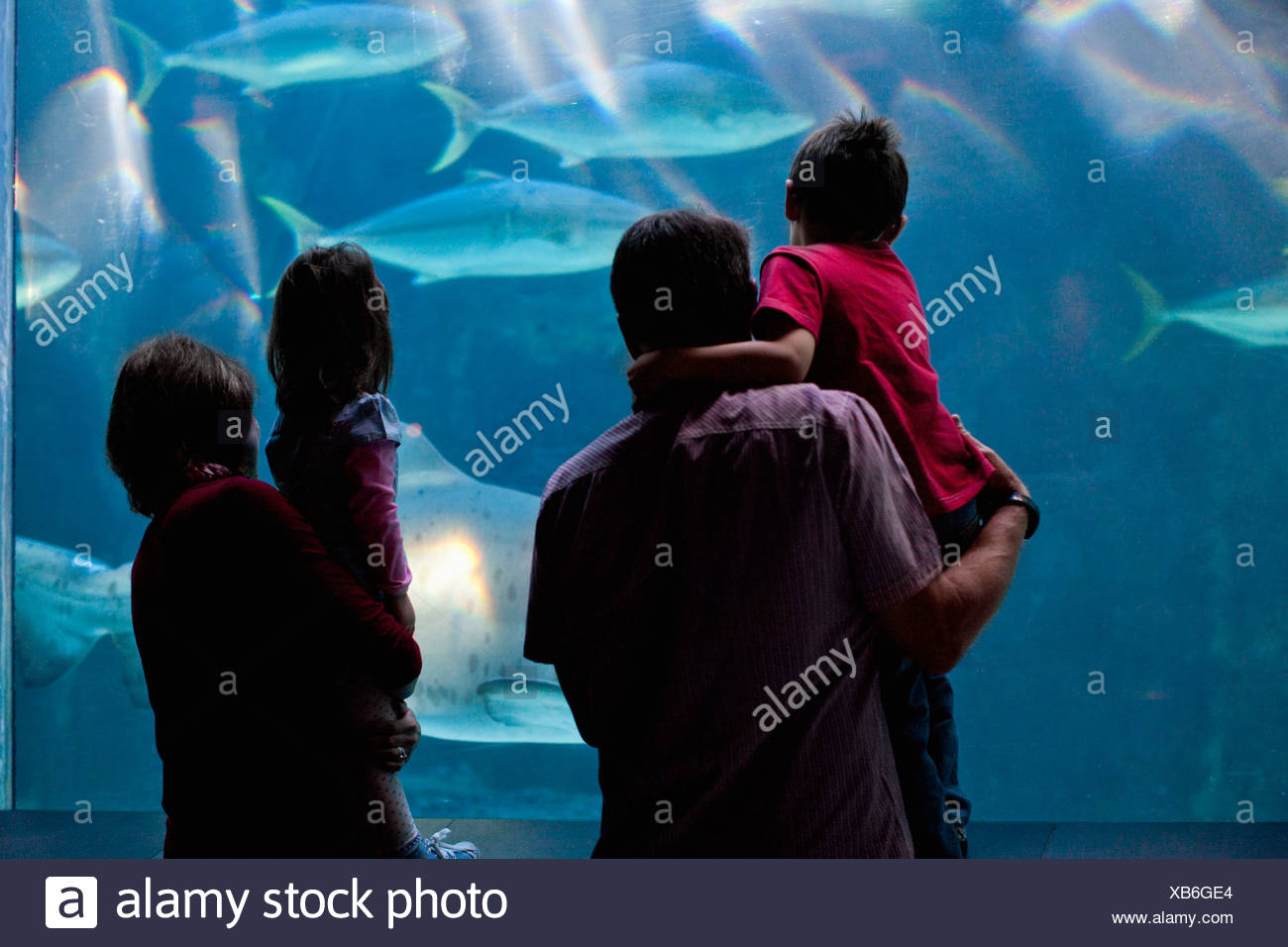 Girl In Aquarium High Resolution Stock Photography and Images - Alamy