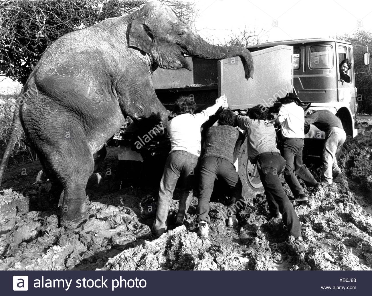 Pull Out Of Mud High Resolution Stock Photography and Images - Alamy