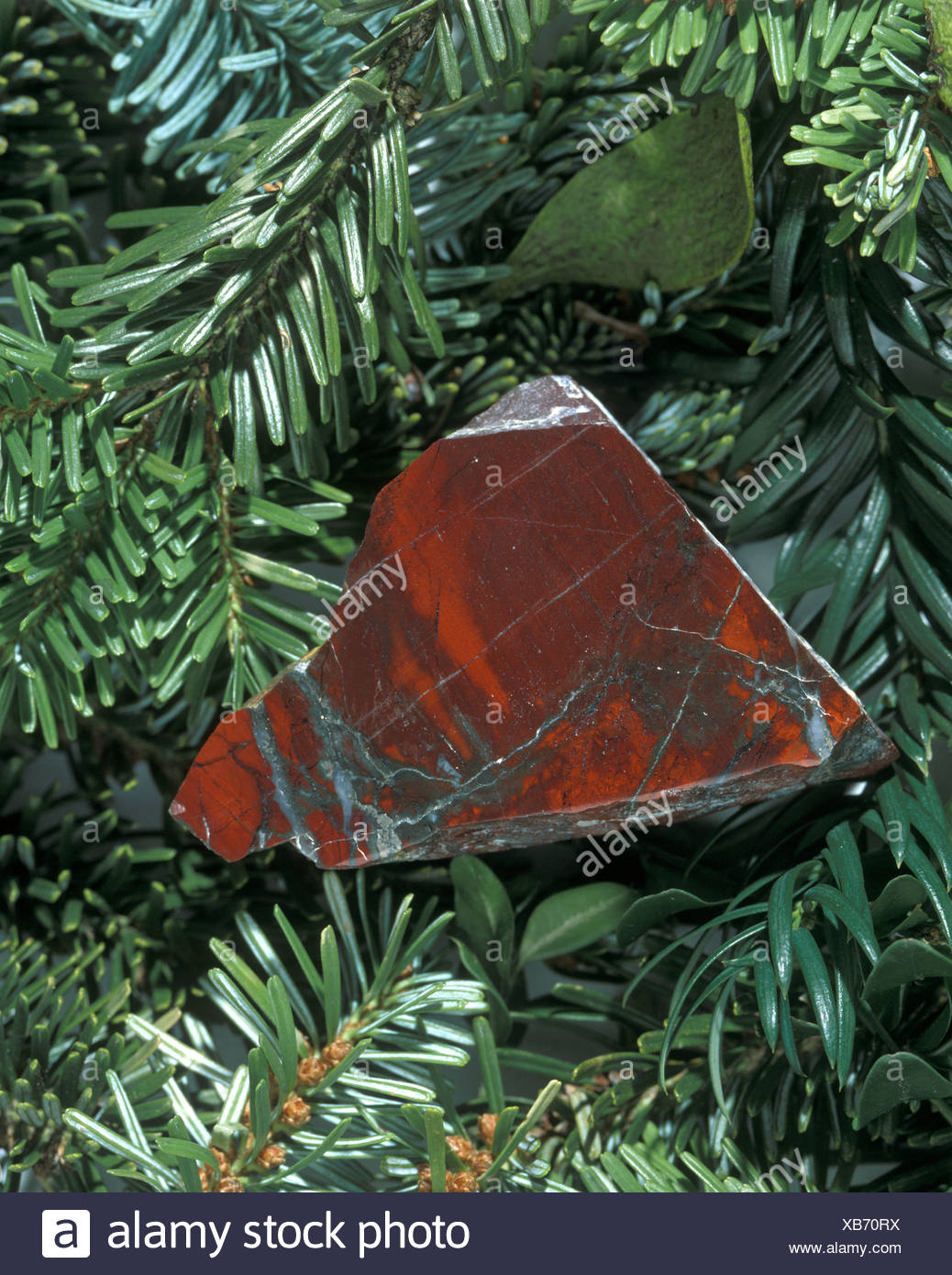 Bloodstone High Resolution Stock Photography and Images - Alamy
