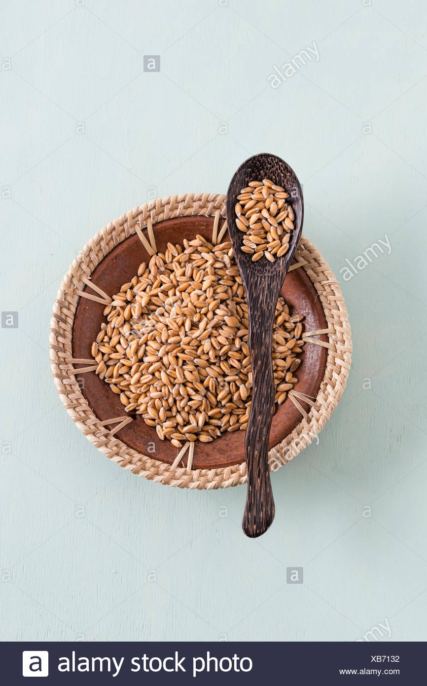 Emmer High Resolution Stock Photography and Images - Alamy