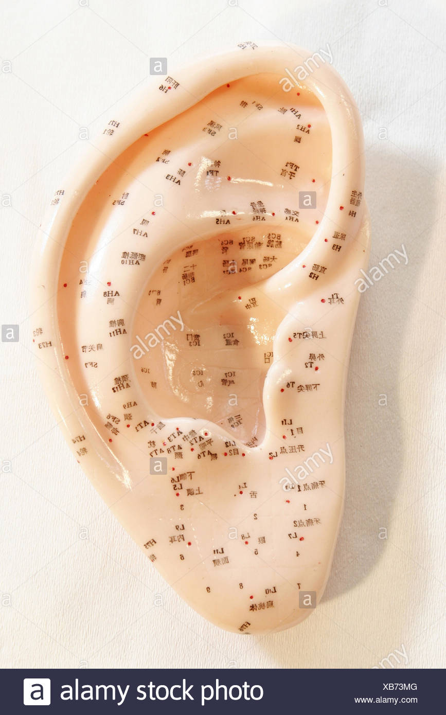 Ear Acupuncture High Resolution Stock Photography and Images - Alamy