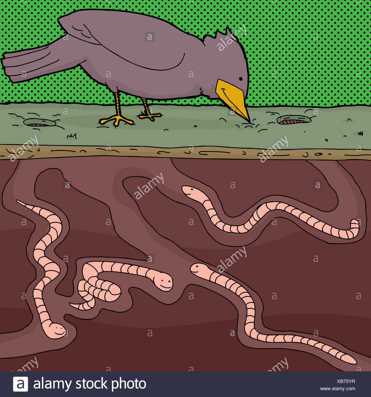 Topsoil Earthworm High Resolution Stock Photography and Images - Alamy