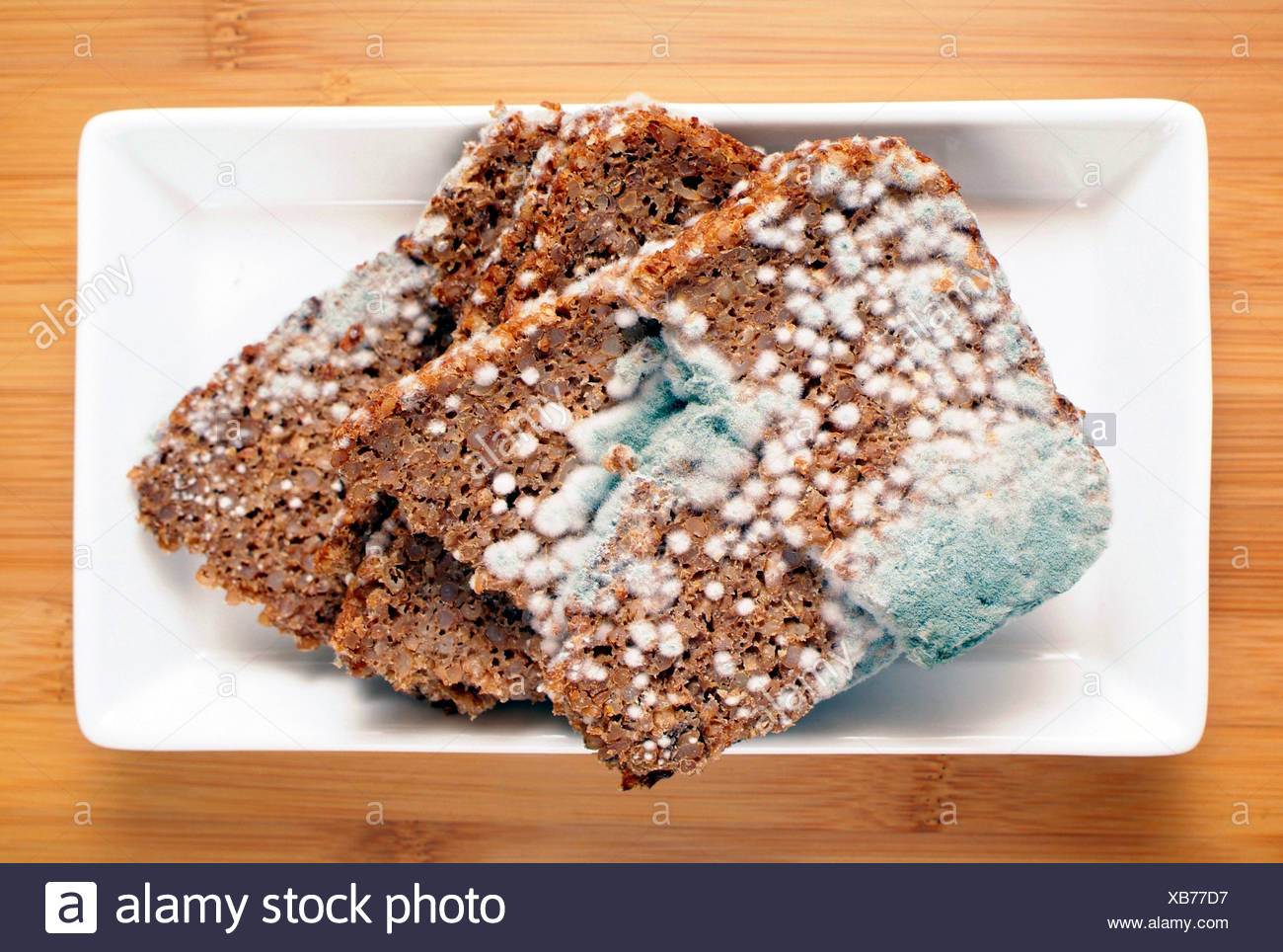 Mouldy Bread High Resolution Stock Photography and Images - Alamy