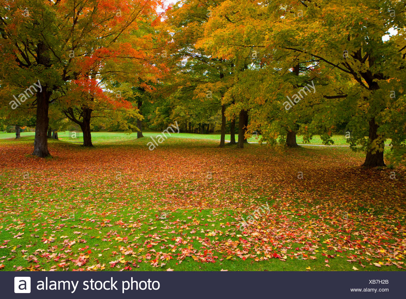 Androscoggin High Resolution Stock Photography and Images - Alamy