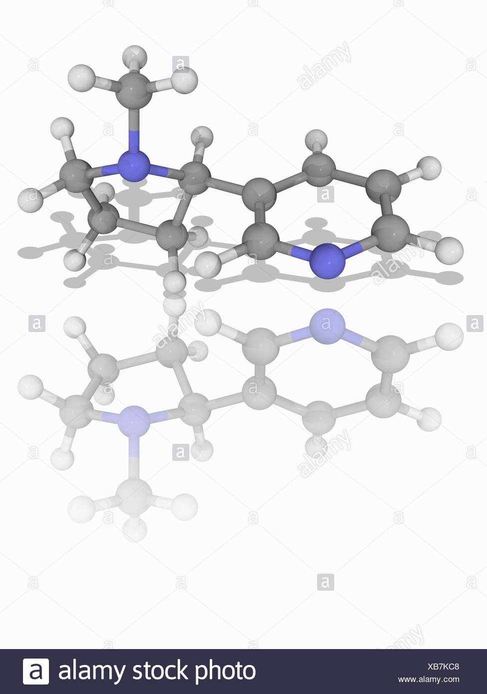 Nicotine Molecular Model High Resolution Stock Photography and Images ...