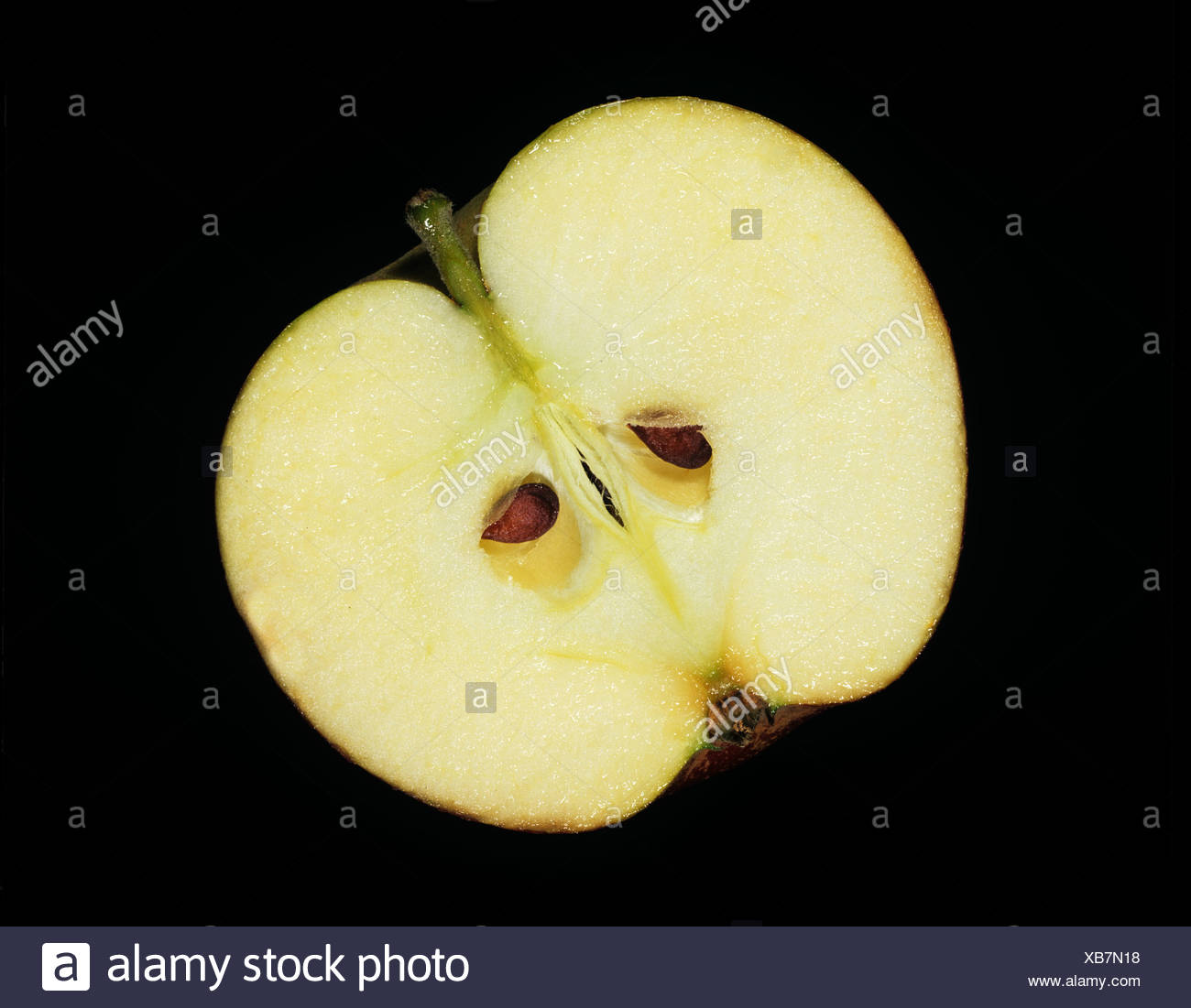 Fruit Chamber High Resolution Stock Photography and Images - Alamy
