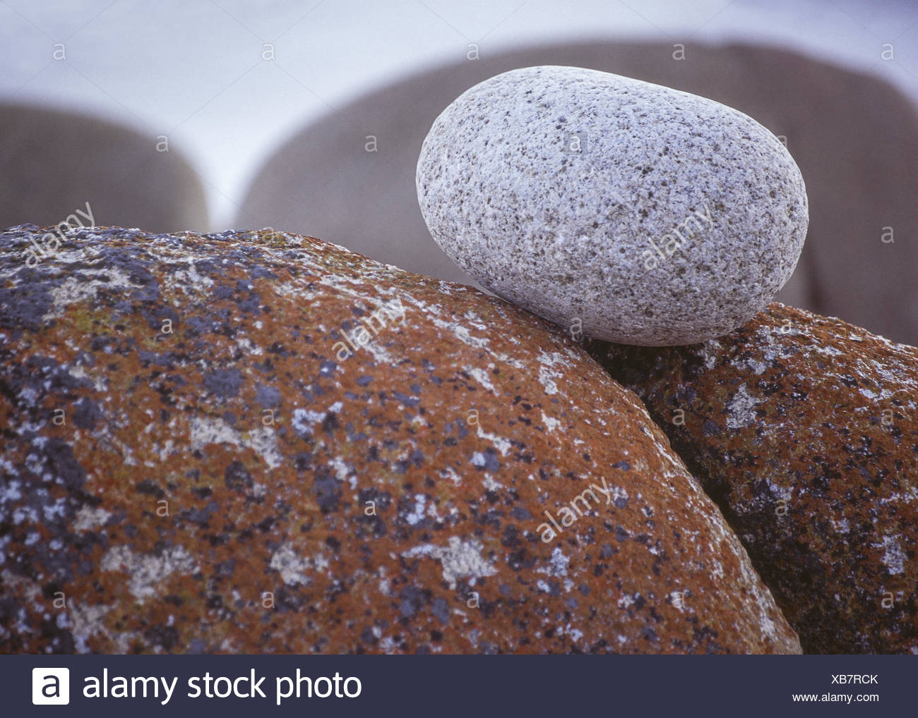 Kieselstein High Resolution Stock Photography and Images - Alamy