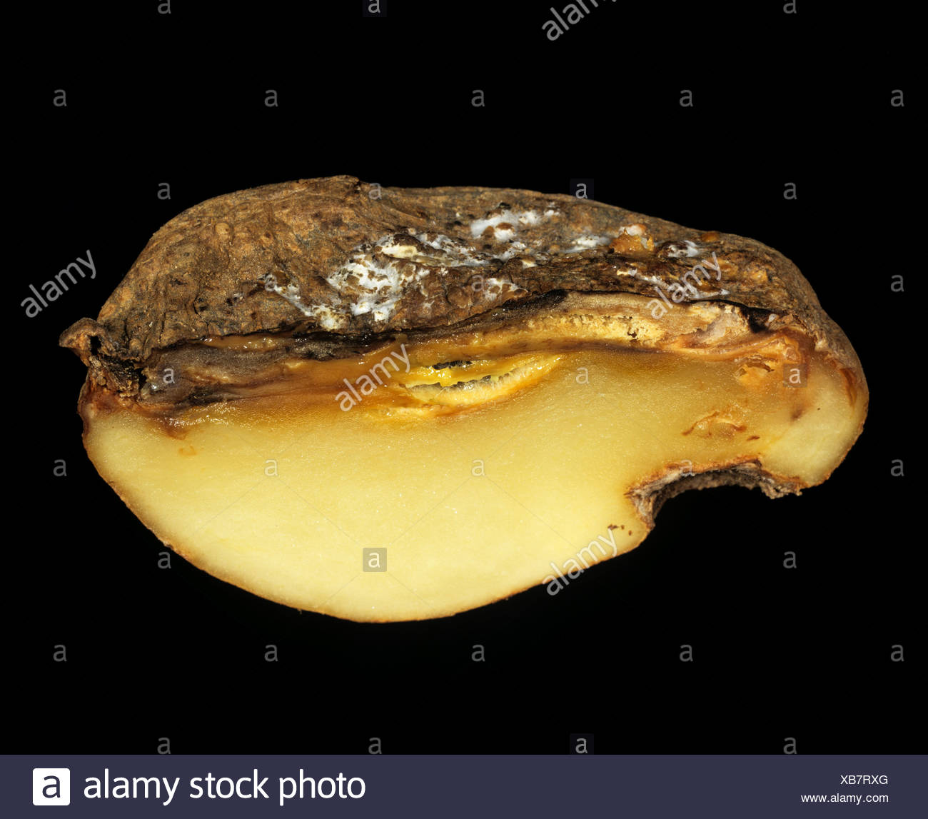Wound High Resolution Stock Photography and Images - Alamy