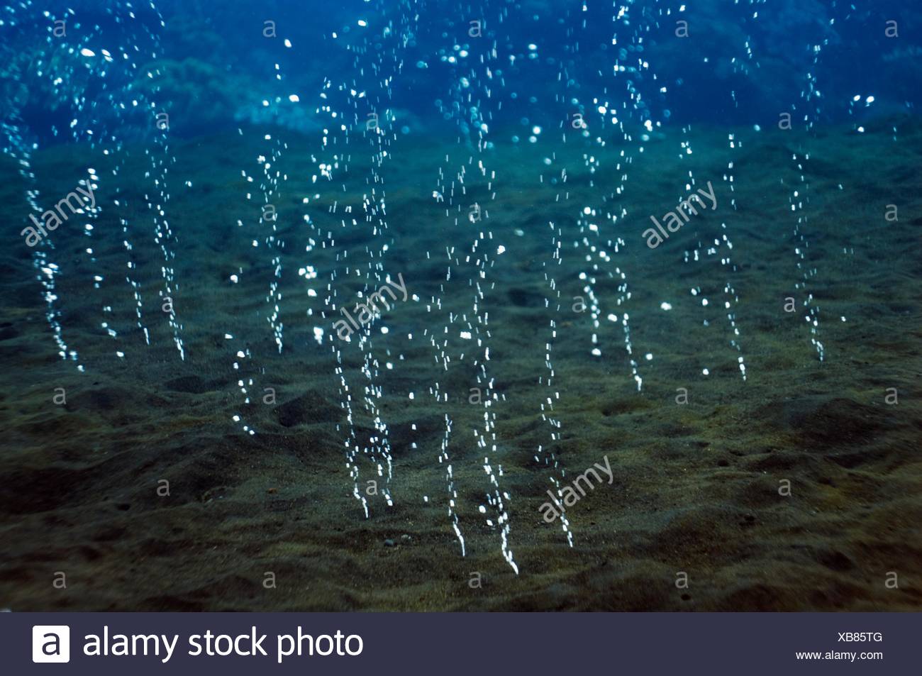 Hydrothermal Vent Deep Sea High Resolution Stock Photography and Images ...