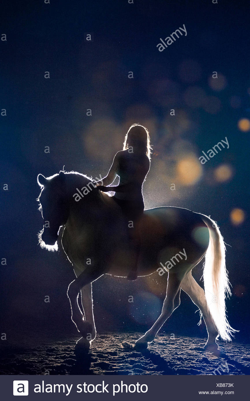 Night Horse High Resolution Stock Photography and Images - Alamy