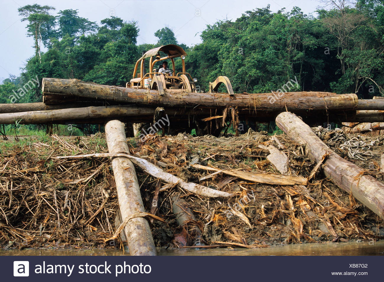Rainforest Destruction High Resolution Stock Photography and Images - Alamy