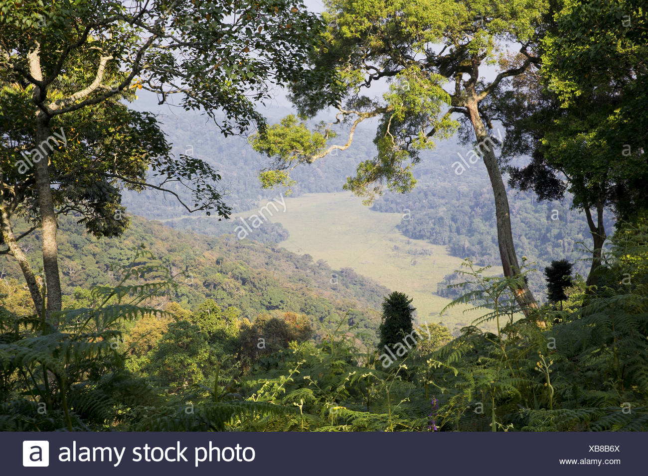 Albertine Rift Valley High Resolution Stock Photography and Images - Alamy