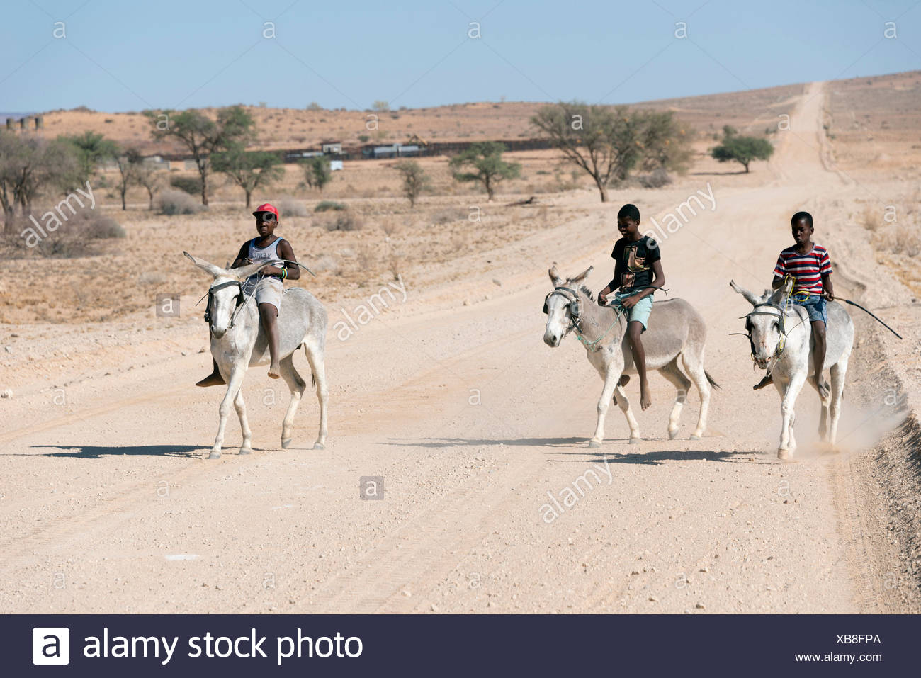 Boys On Donkeys Stock Photos & Boys On Donkeys Stock Images - Alamy