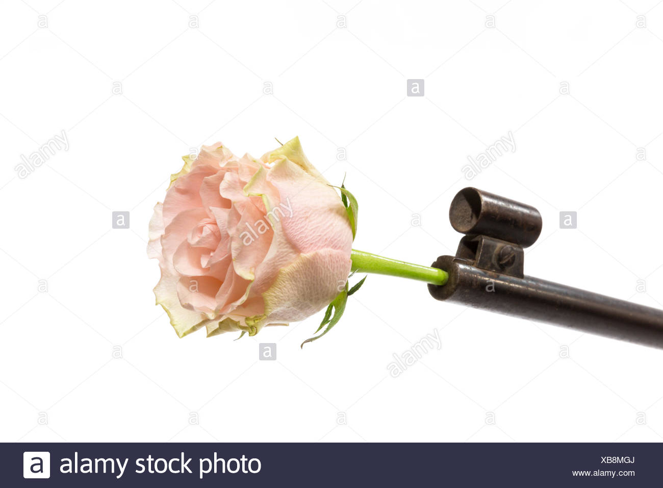 Flower Gun High Resolution Stock Photography and Images - Alamy