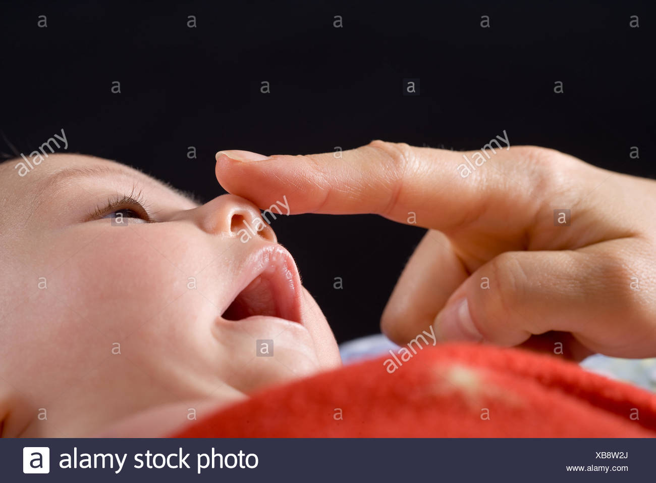 Small Nose High Resolution Stock Photography and Images - Alamy