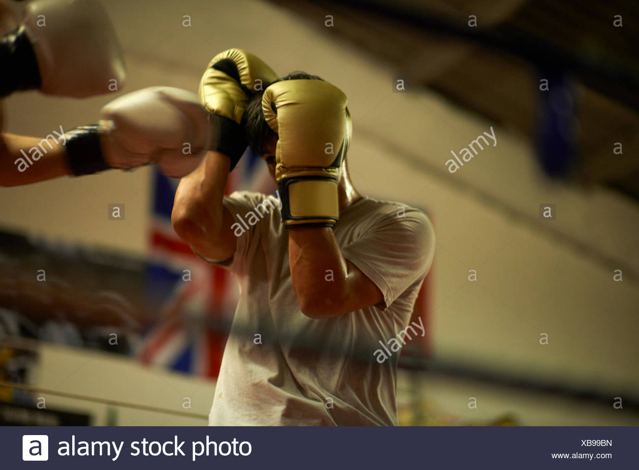 Boxers Sparring High Resolution Stock Photography and Images - Alamy