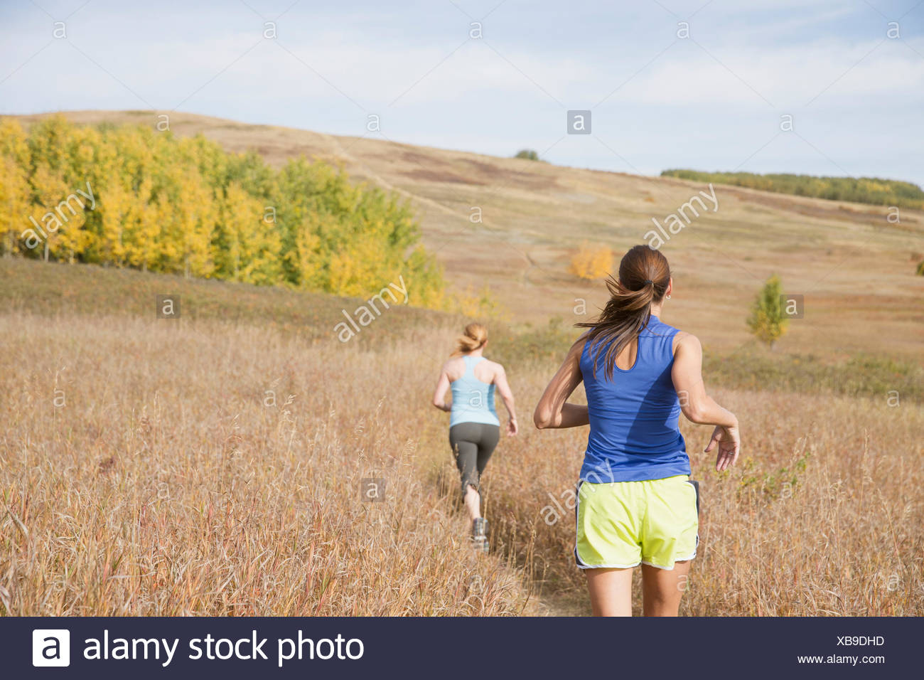 Lifestyle Jogging Middle Aged Stock Photos & Lifestyle Jogging Middle ...