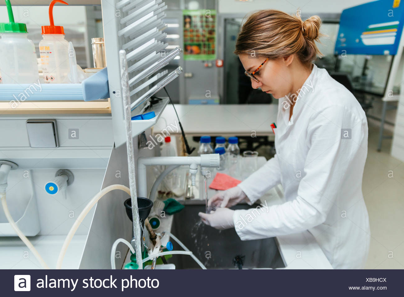 Laboratory Cleaning Sink High Resolution Stock Photography and Images ...