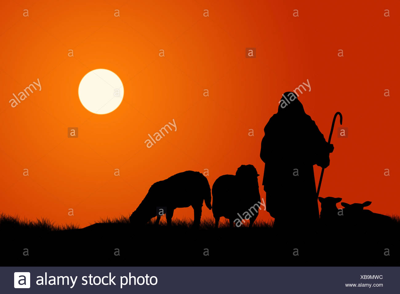 Silhouette Shepherd Sheep Stock Photos & Silhouette Shepherd Sheep ... Silhouette Shepherd Sheep Stock Photos & Silhouette Shepherd Sheep ...