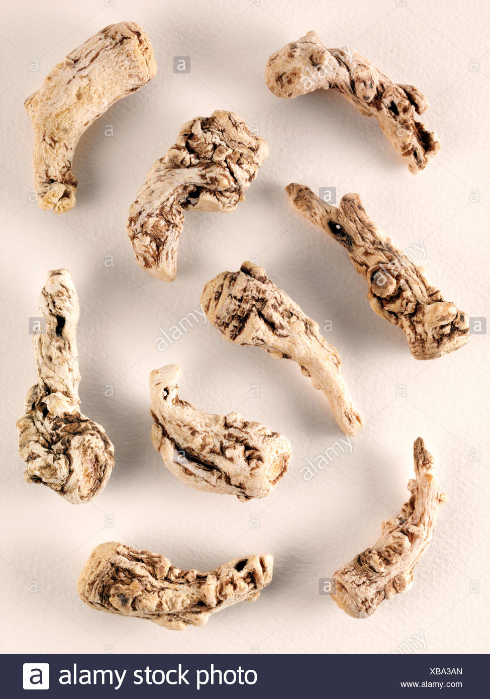 Angelica Sinensis Stock Photos & Angelica Sinensis Stock Images - Alamy