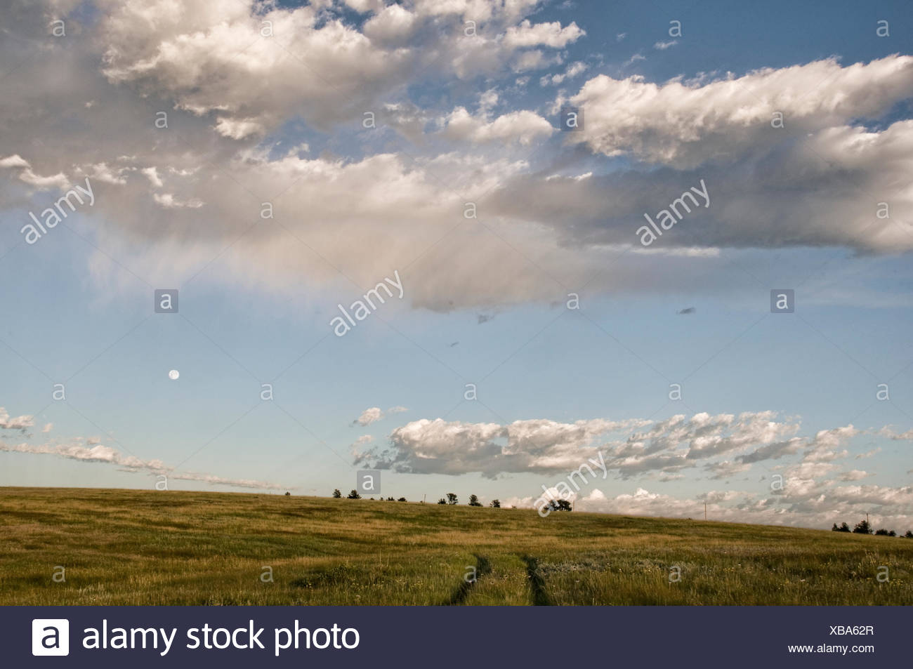 Fotolia Stock Photos & Fotolia Stock Images - Alamy