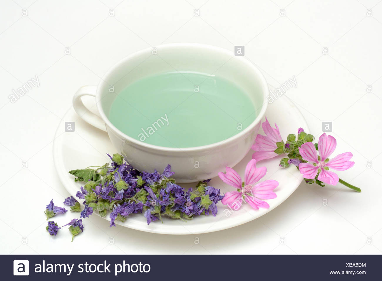 Malva Sylvestris Tea High Resolution Stock Photography and Images - Alamy