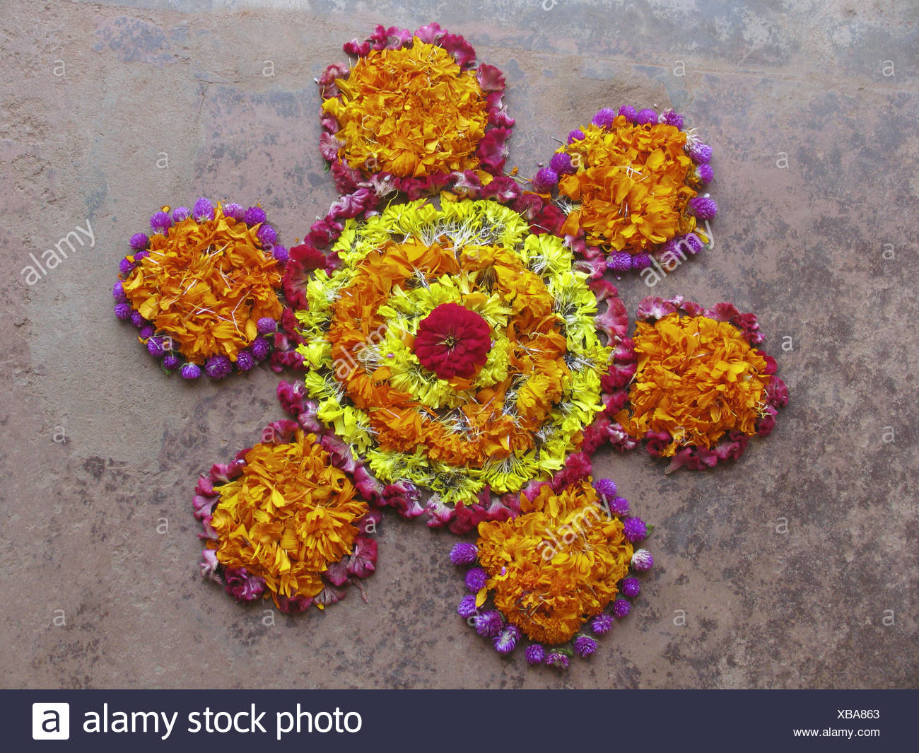 Onam Flower High Resolution Stock Photography and Images - Alamy