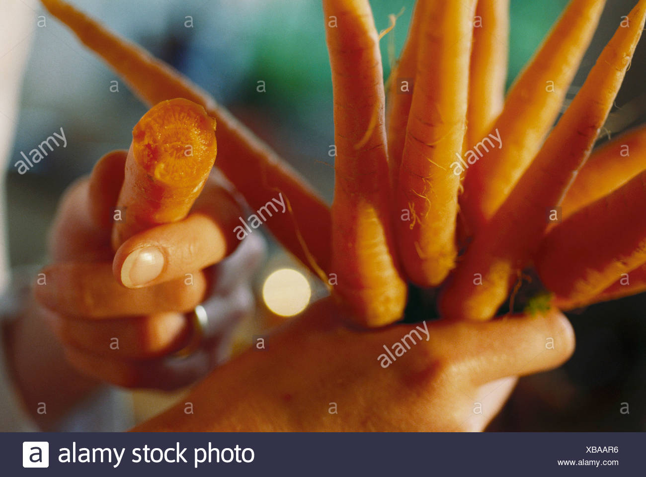 Human Hands Holding Carrots Stock Photos & Human Hands Holding Carrots ...