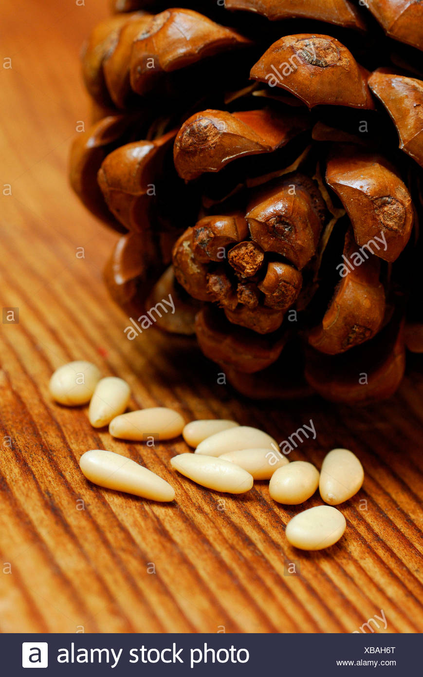Pine Nut Cone High Resolution Stock Photography and Images - Alamy