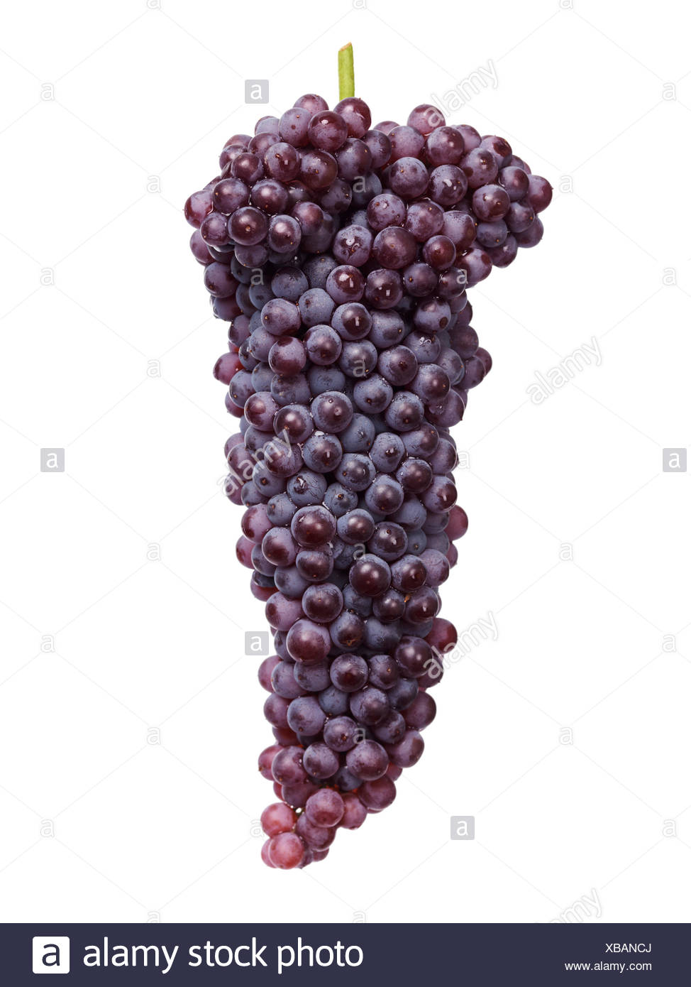 Black Corinth Grape High Resolution Stock Photography and Images - Alamy